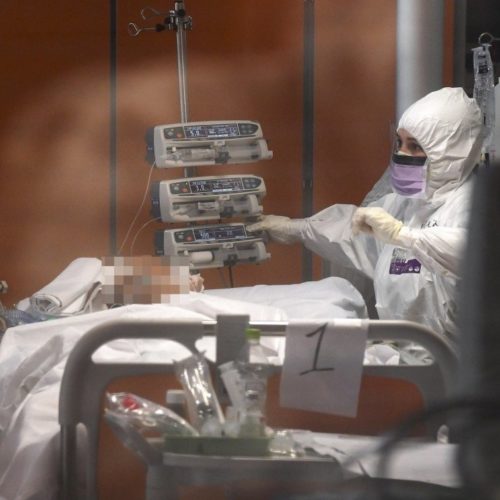 How Contagion Works | Kate Whitehead